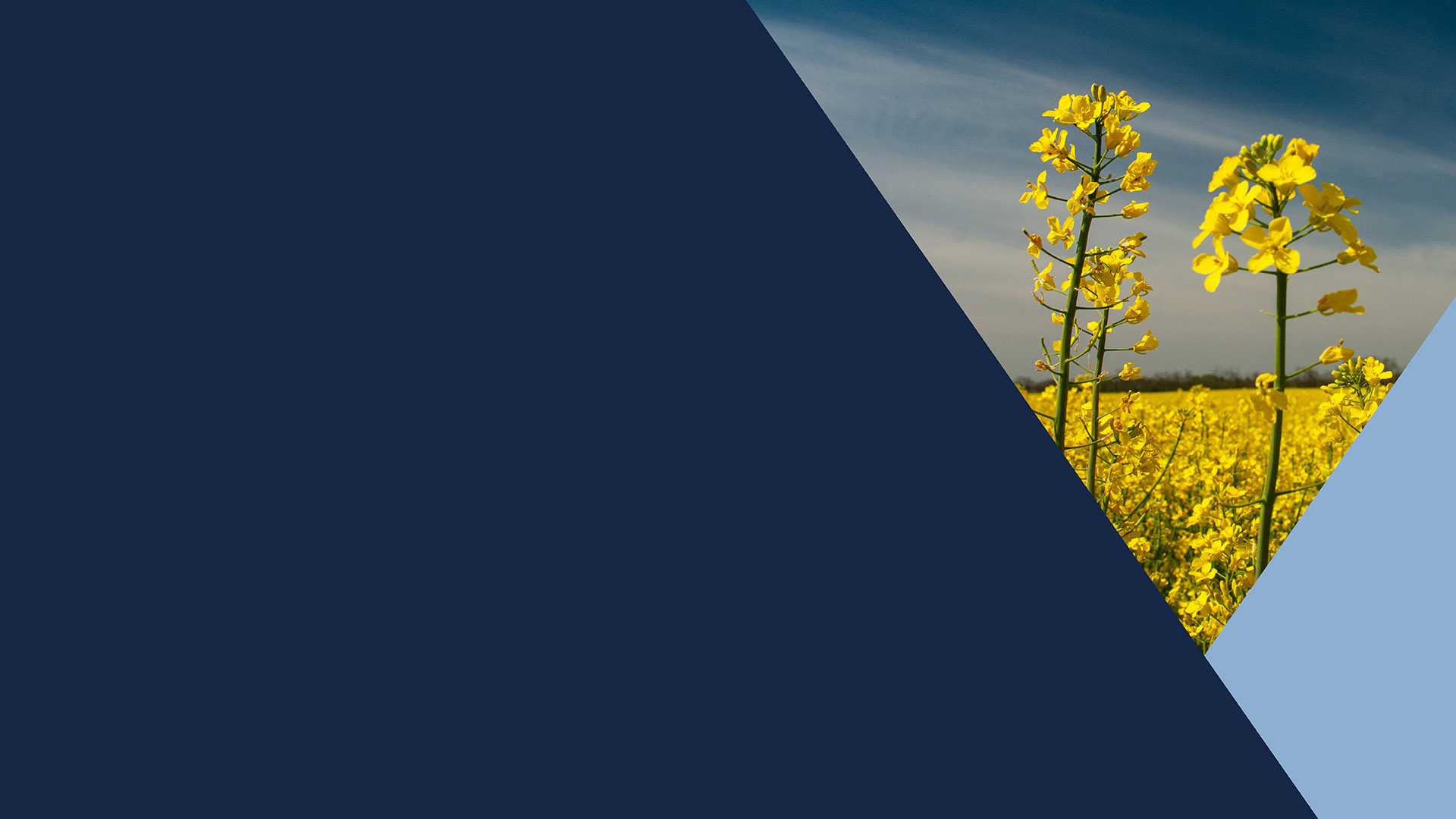 Axfood Mat 2030 – lansering 2022